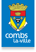 Combs-la-Ville - Association Wellouëj
