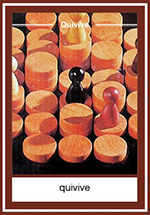 quivive - Association Wellouëj